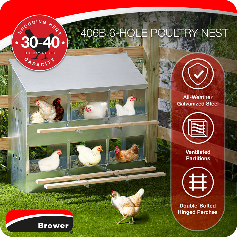 Brower 406B Galvanized Steel 6 Hole 30 Bird Poultry Nest Chicken Brood ...